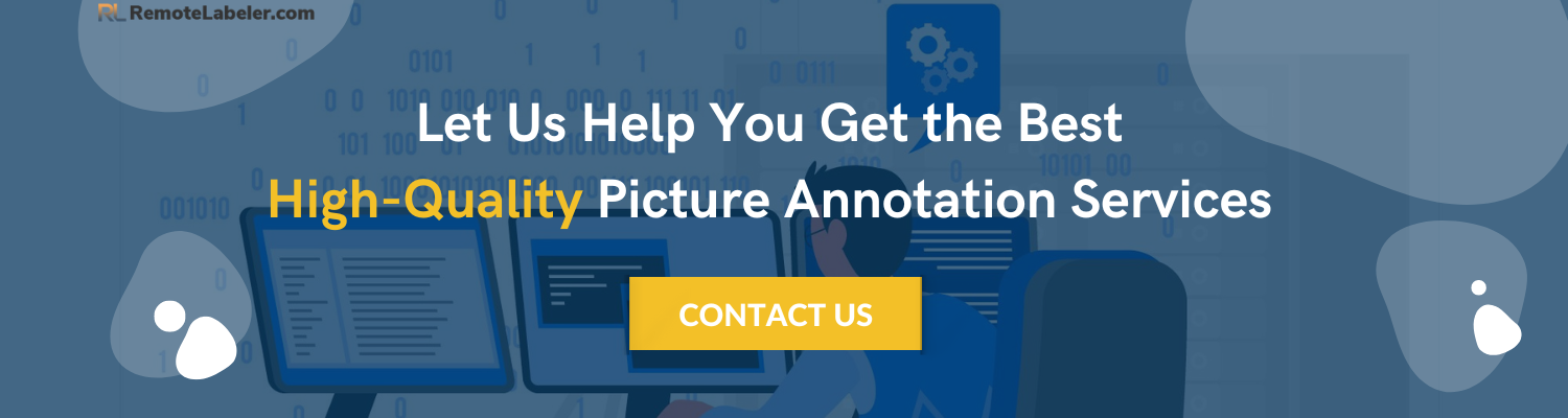 Outsourcing Picture Annotation Services - Remote Labeler