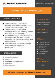 Expert Photo Annotation Services for Enhanced Car Systems