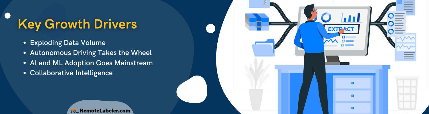 The Booming Data Labeling Industry: A Glimpse into 2024-2030